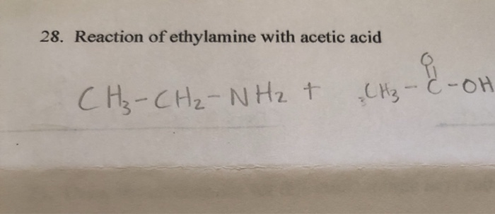 Solved 28. Reaction of ethylamine with acetic acid | Chegg.com