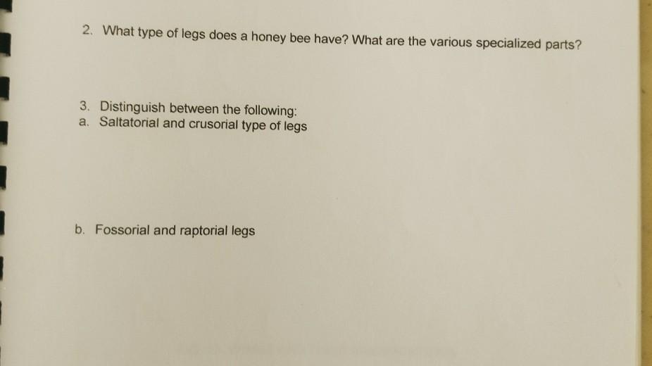 Solved 2. What type of legs does a honey bee have? What are | Chegg.com