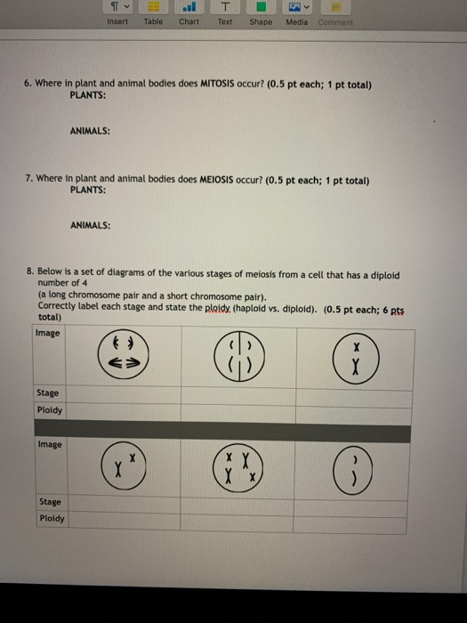 Solved T Insert Table Chart Text Shape Media Comment | Chegg.com