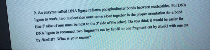 Solved DNA Scissors: Introduction to Restriction Enzymes | Chegg.com