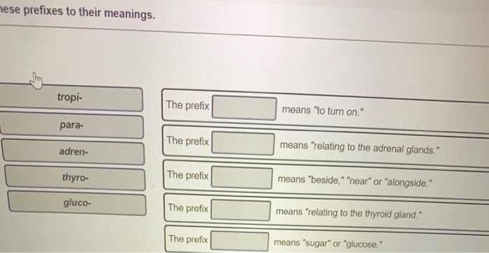 Solved mese prefixes to their meanings. tropi- The prefix | Chegg.com