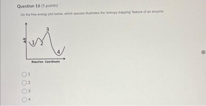 Solved Assume the specificity pocket in chymotrypsin is | Chegg.com