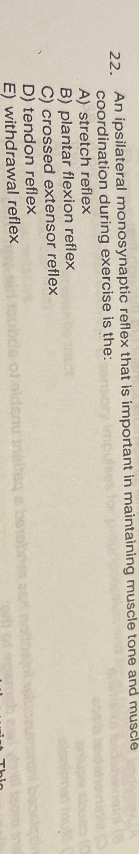Solved An ipsilateral monosynaptic reflex that is important | Chegg.com