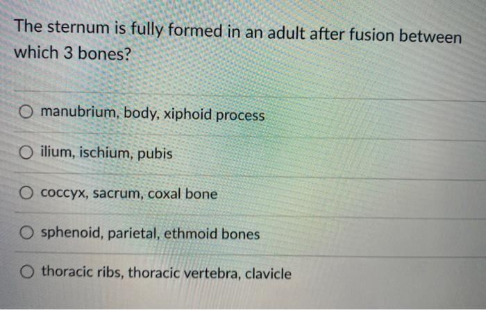 Solved The sternum is fully formed in an adult after fusion | Chegg.com