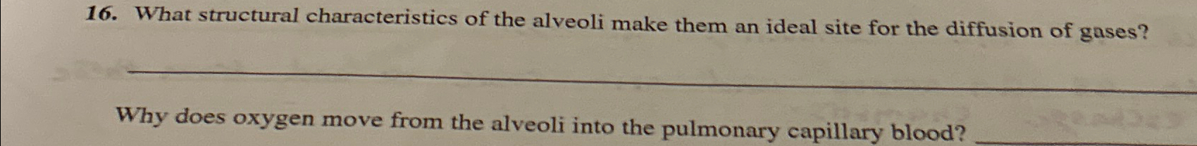 Solved What structural characteristics of the alveoli make | Chegg.com
