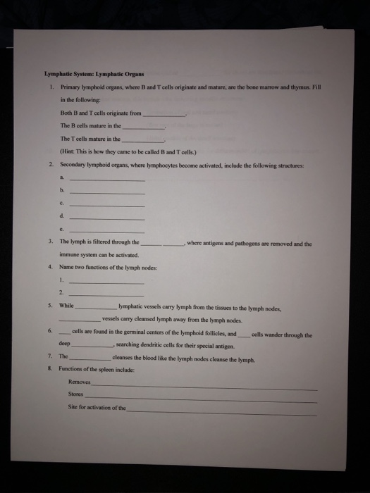 Solved Immune System: Overview of Innate and Adaptive Body | Chegg.com