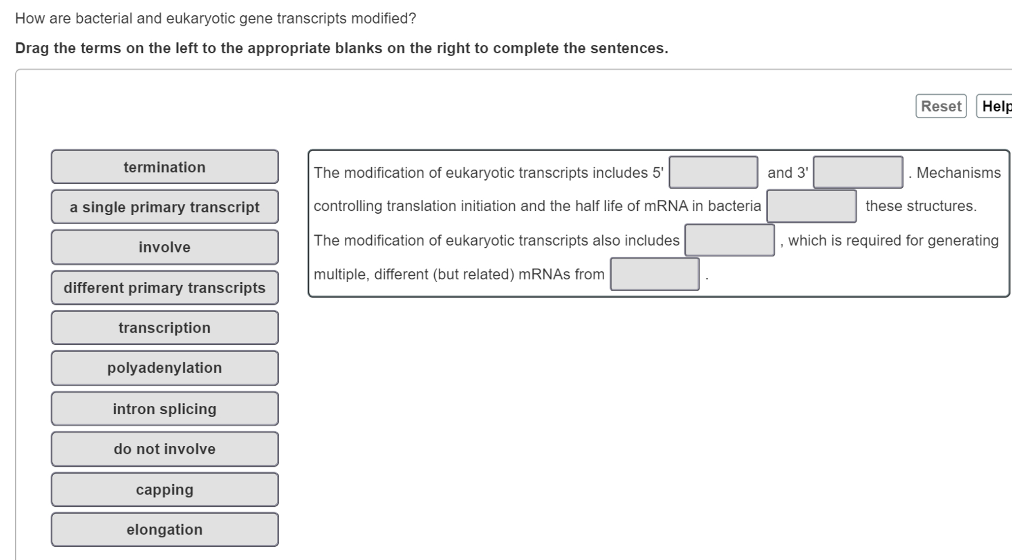 Solved How are bacterial and eukaryotic gene transcripts | Chegg.com