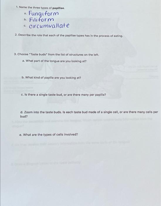 1. Name the three types of papillae. a. Fungiform b. | Chegg.com