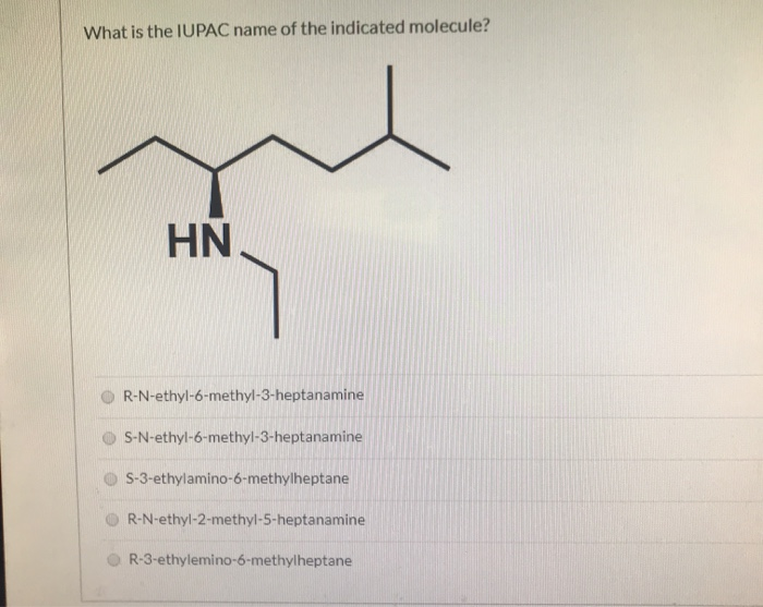 Solved What is the IUPAC name of the indicated molecule? HN. | Chegg.com