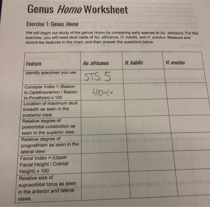Genus Homo Worksheet Exercise 1: Genus Homo We will | Chegg.com