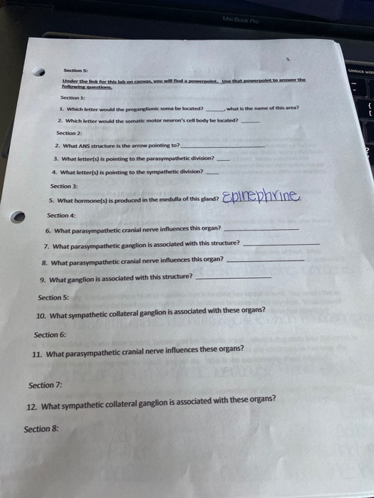 Solved Section 1 B C D Section 2 Section 3 | Chegg.com
