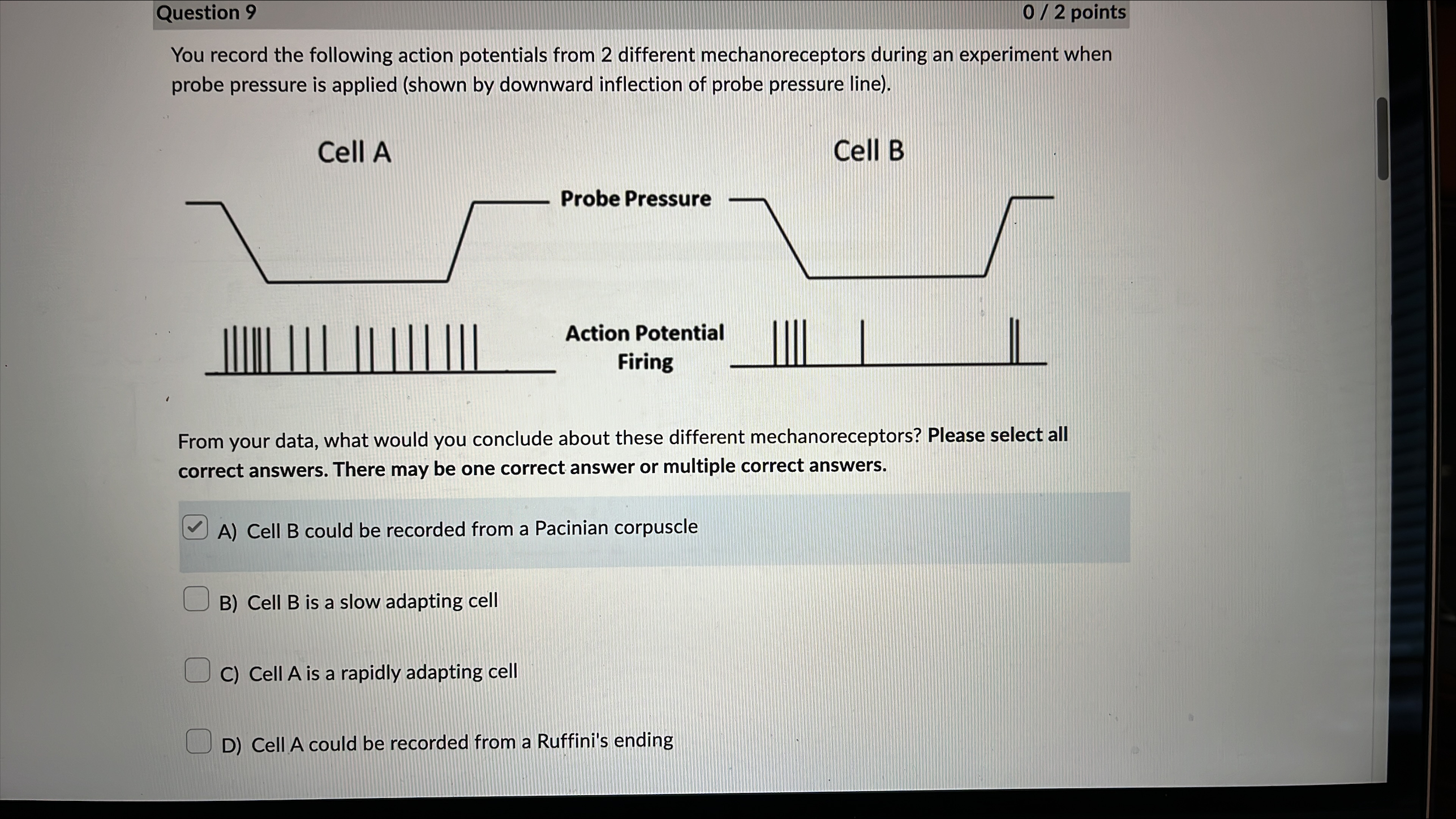 Solved You record the following action potentials from 2 | Chegg.com