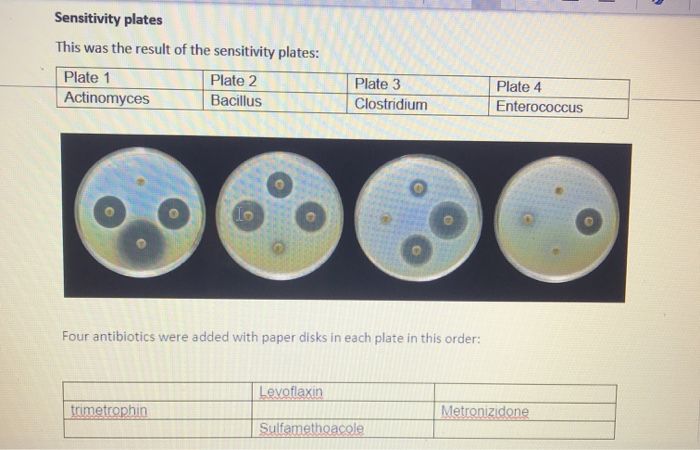 Solved This was the result of the sensitivity plates: Plate | Chegg.com