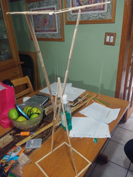 Solved i have to build a tensegrity structure using popsicle | Chegg.com