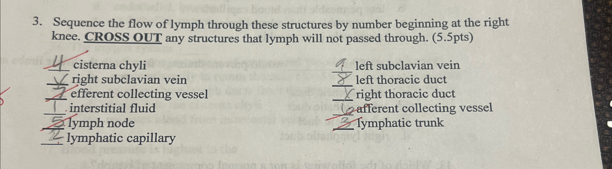 Solved Sequence the flow of lymph through these structures | Chegg.com