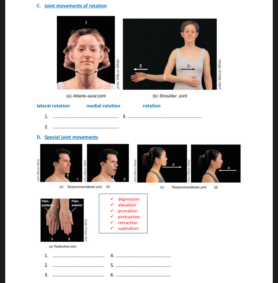 Solved C. ﻿Joint movements of rotation(a) ﻿Atlanto-axial | Chegg.com