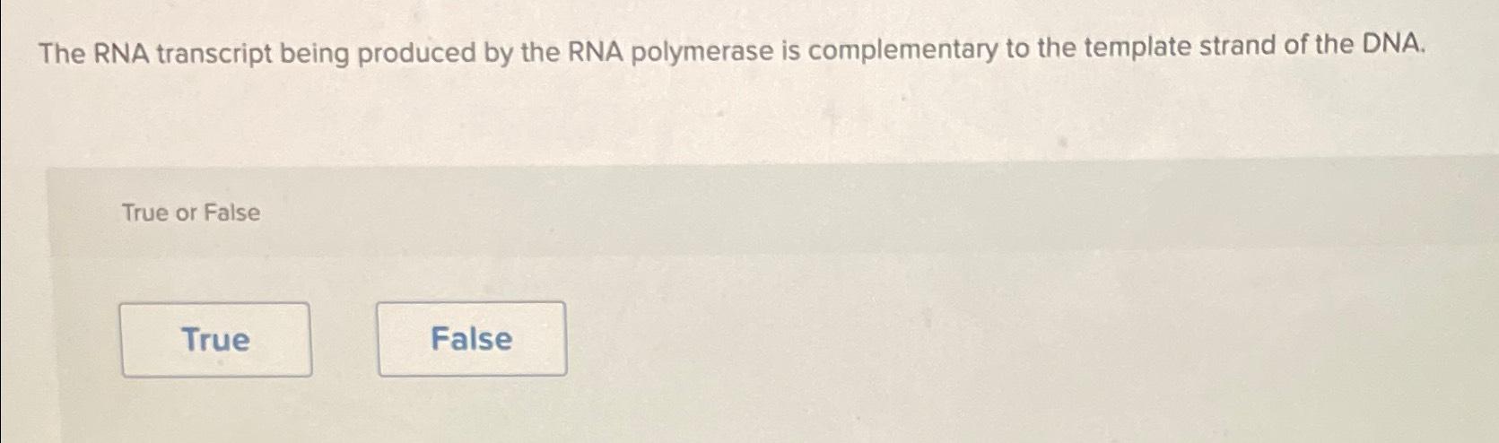 Solved The RNA transcript being produced by the RNA | Chegg.com
