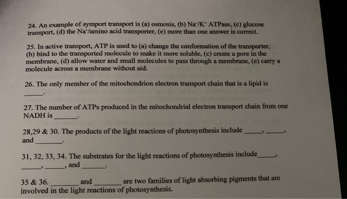 Solved 24. An example of symport transport is (a) osmosis, | Chegg.com