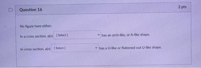 Solved No figure here either. In a cross section, a(n) has | Chegg.com