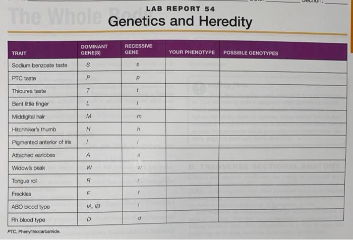 Solved LAB REPORT 54 The Whol Genetics and Heredity DOMINANT | Chegg.com