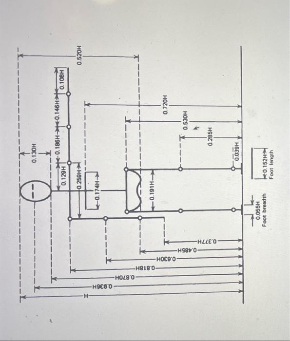 Torque In Class Activity This in class activity | Chegg.com