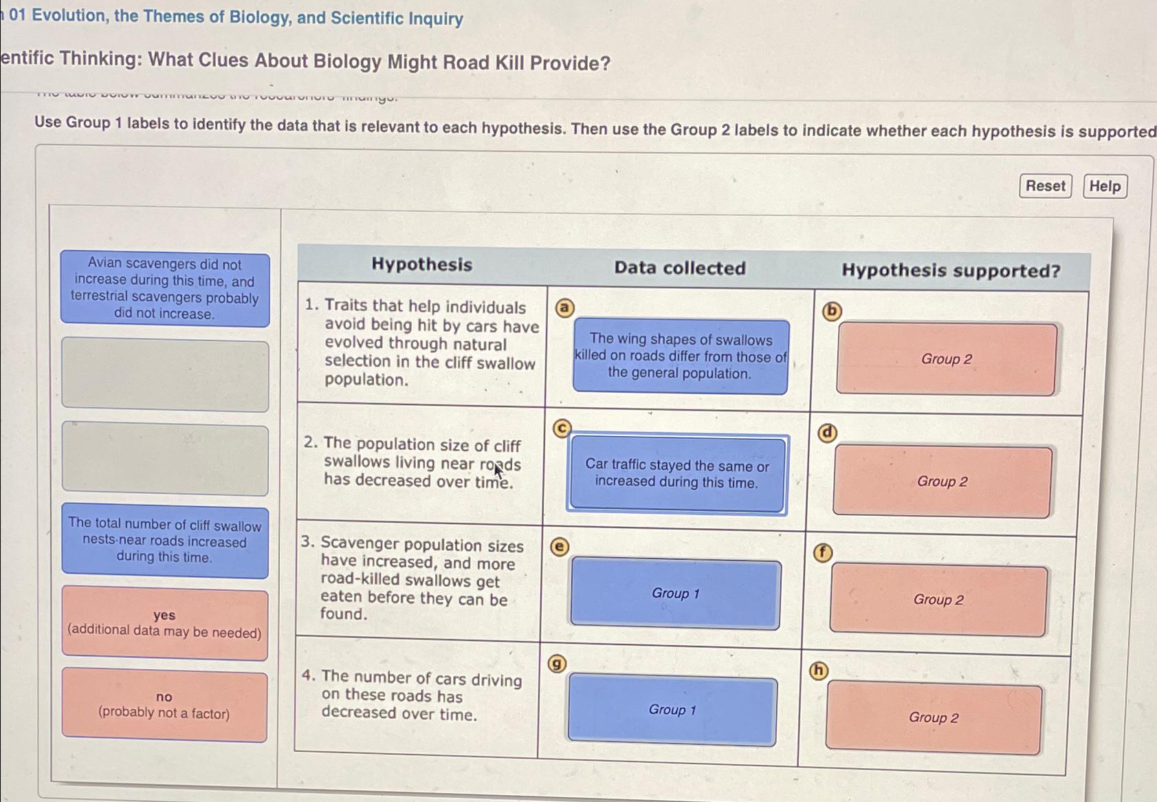 Solved 01 ﻿Evolution, the Themes of Biology, and Scientific | Chegg.com