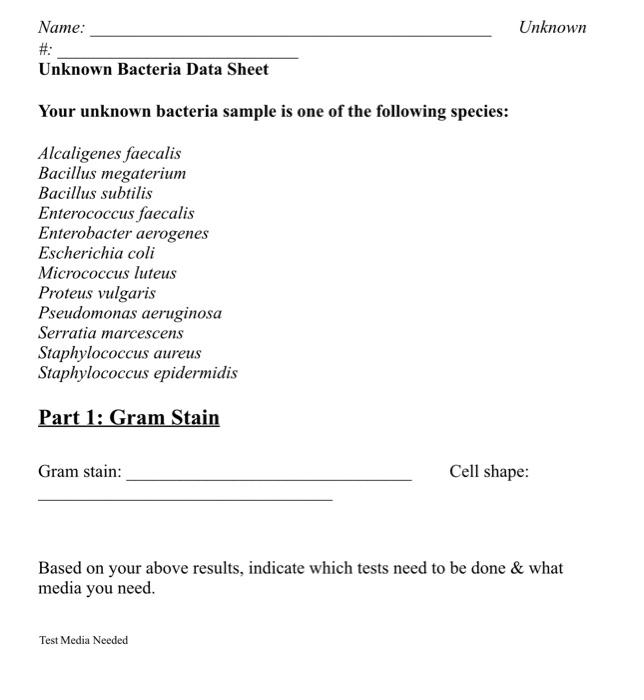 Solved Picture of Results Test Gram Stain # Are Unknown | Chegg.com