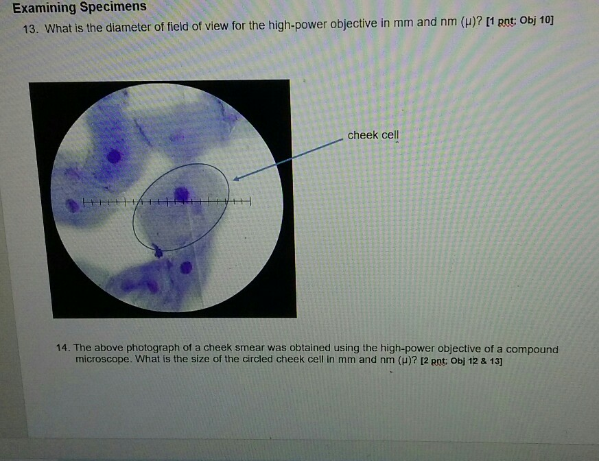 Examining Specimens 13. What is the diameter of field | Chegg.com