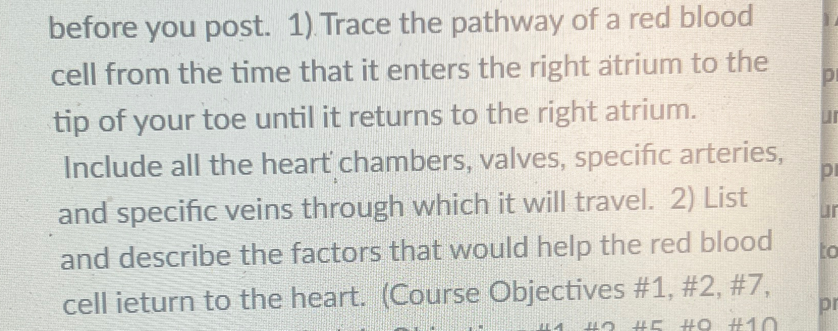 Solved before you post. 1) ﻿Trace the pathway of a red blood | Chegg.com