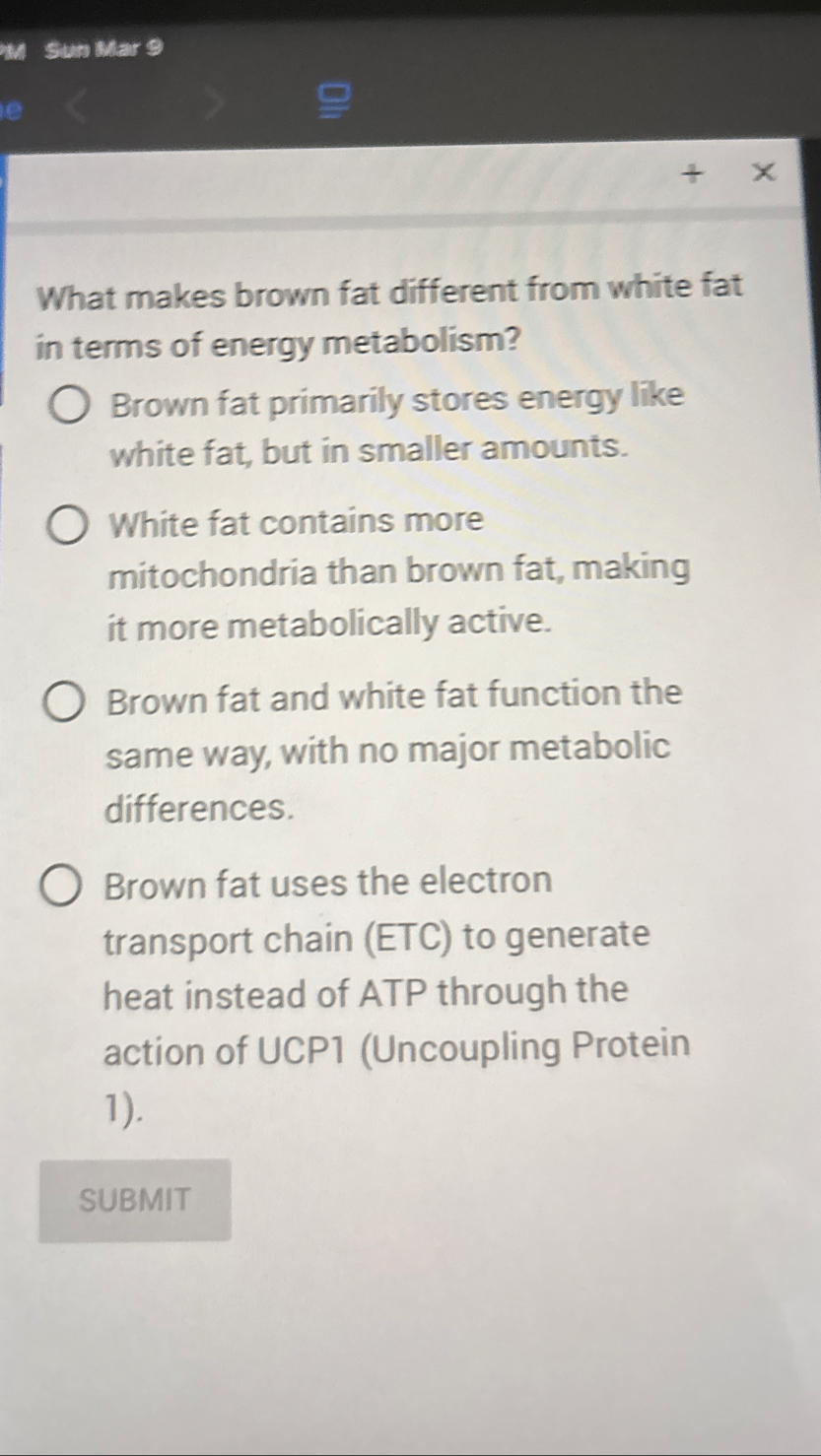 Solved Stu Mar 9What makes brown fat different from white | Chegg.com
