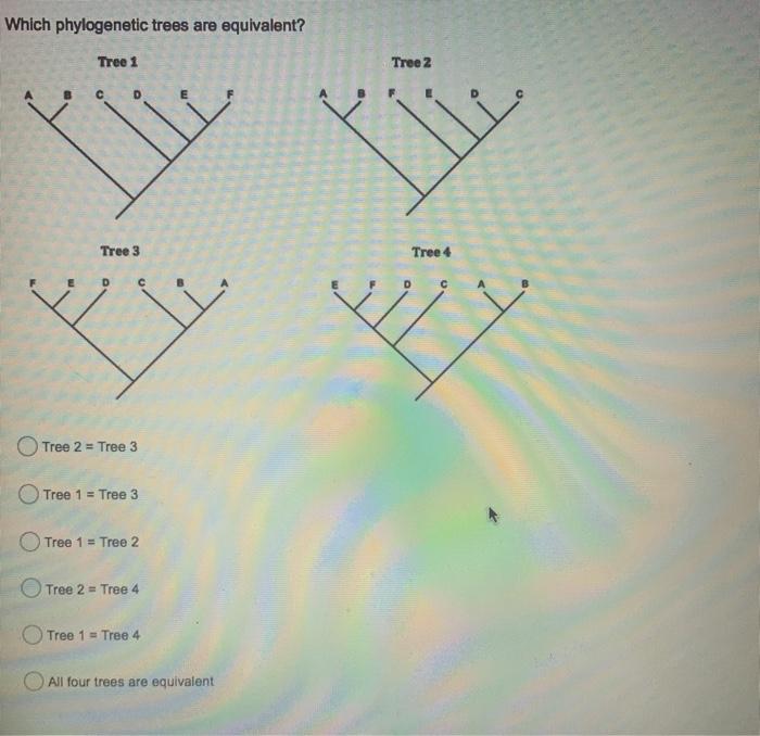 Solved Which phylogenetic trees are equivalent? Tree 1 Tree | Chegg.com