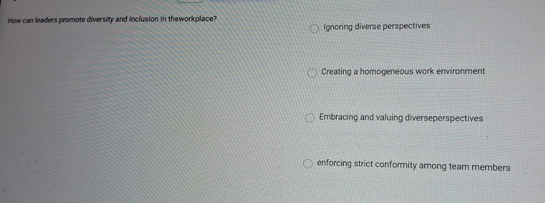 Solved How can leaders promote diversity and inclusion in | Chegg.com