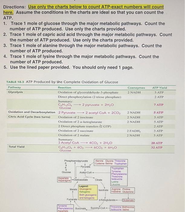 Solved Directions: Use only the charts below to count | Chegg.com
