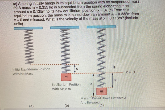 Solved (a) A spring initially hangs in its equilibrium | Chegg.com