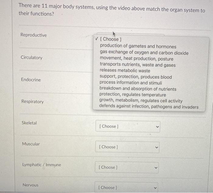 Solved There Are 11 Major Body Systems Using The Video Chegg