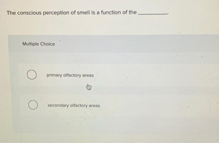 Solved The conscious perception of smell is a function of | Chegg.com