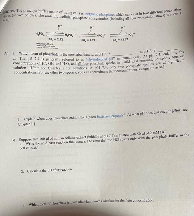 Solved Buffers. The principle buffer inside of living cells | Chegg.com