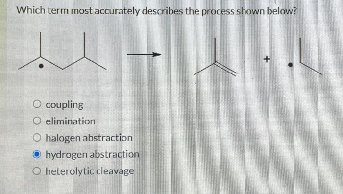 Solved Which term most accurately describes the process | Chegg.com