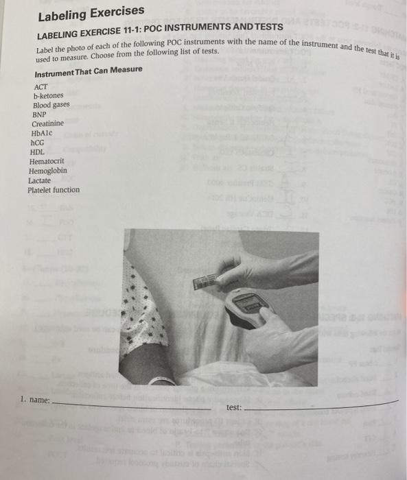 Solved Label the photo of each of the following POC | Chegg.com