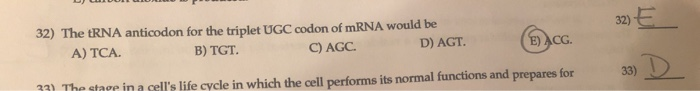 Solved 32 E 32) The RNA anticodon for the triplet UGC codon | Chegg.com