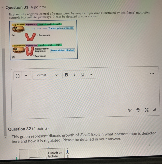 Solved Question 31 (4 points) Explain why negative control | Chegg.com