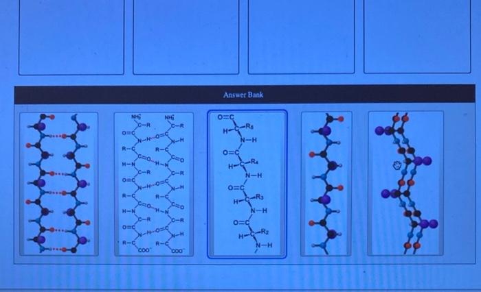 Classify each peptide chain as part of a parallel P | Chegg.com