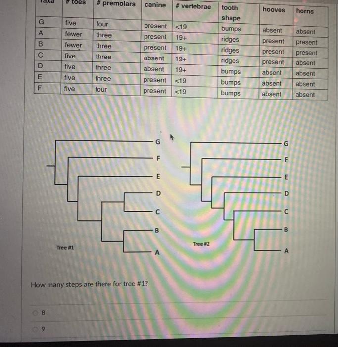 Solved How many steps are there for tree \#1? B How many | Chegg.com