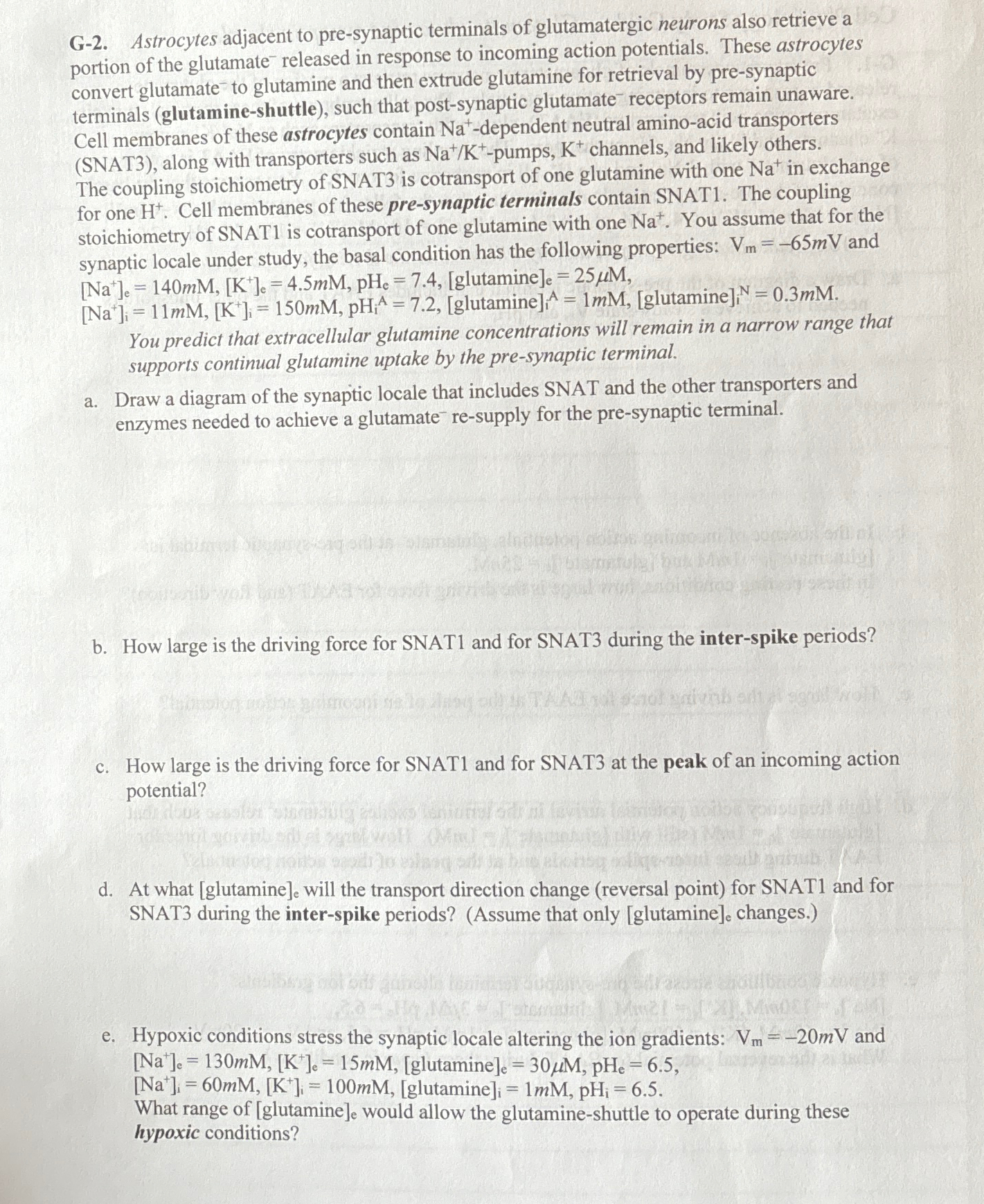 Solved G-2. ﻿Astrocytes adjacent to pre-synaptic terminals | Chegg.com