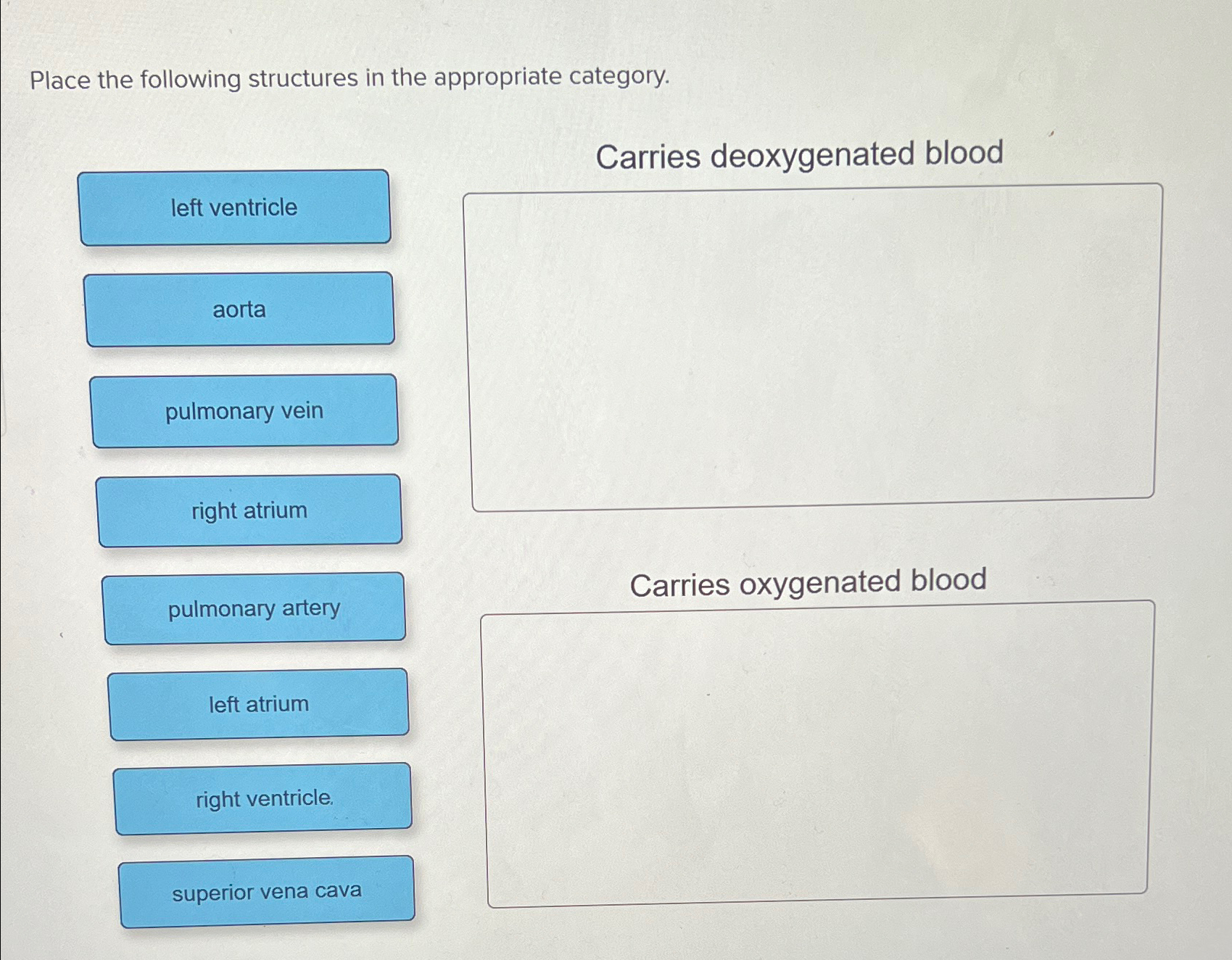Solved Place the following structures in the appropriate | Chegg.com