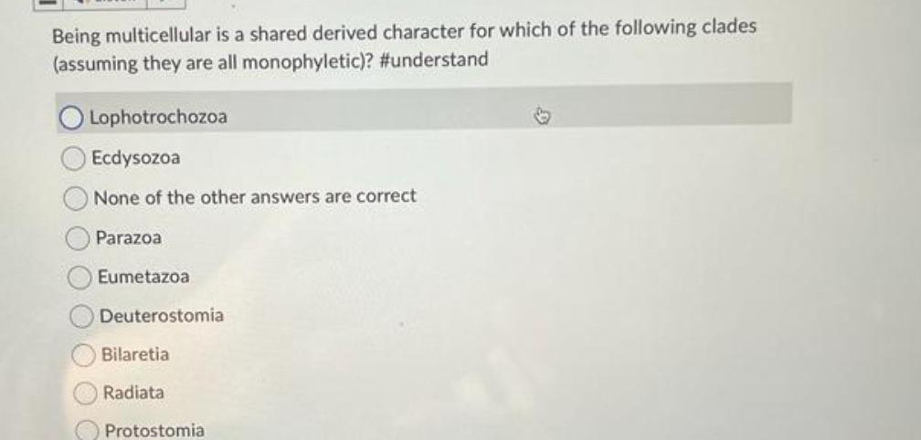 Solved Being multicellular is a shared derived character for | Chegg.com