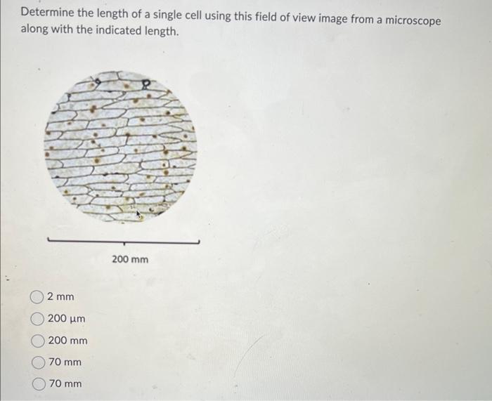 Solved Determine the length of a single cell using this | Chegg.com