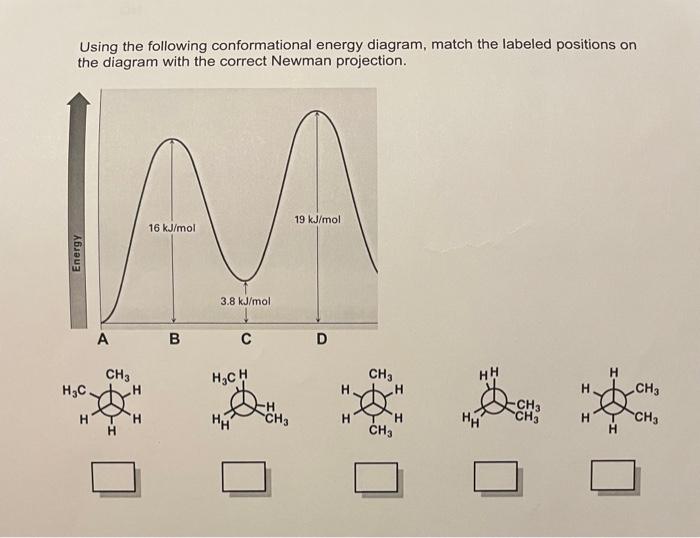 Solved Using the following conformational energy diagram, | Chegg.com