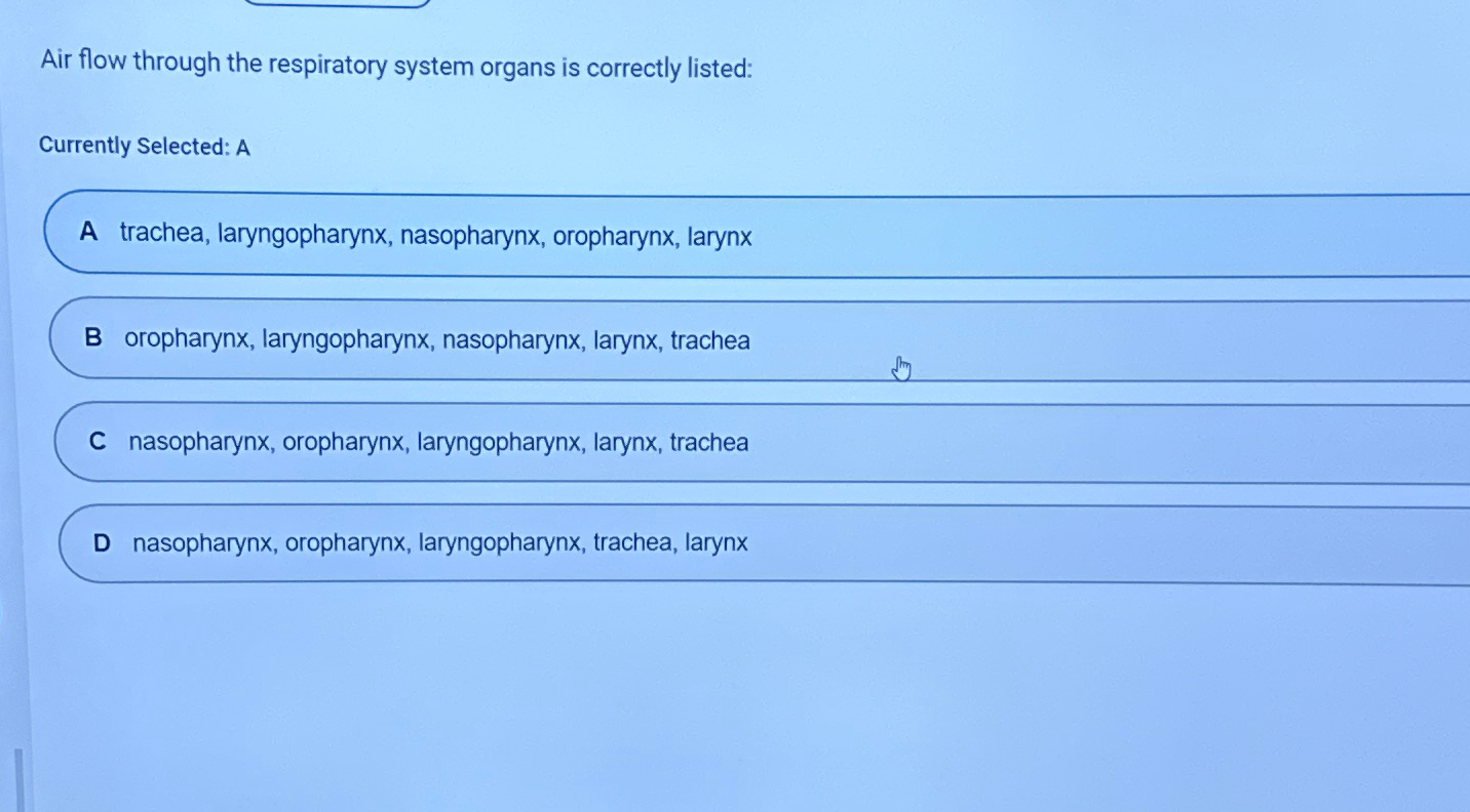 Solved Air flow through the respiratory system organs is | Chegg.com