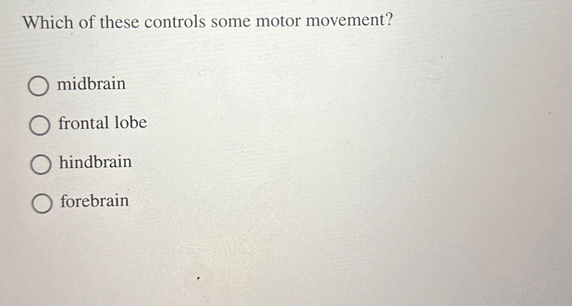 Solved Which of these controls some motor | Chegg.com